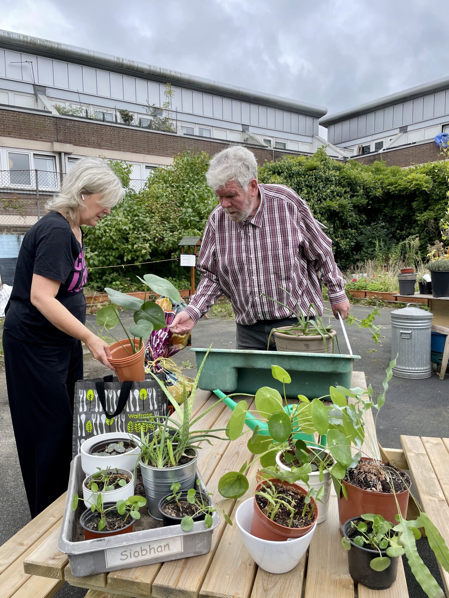 GO Garden – Cooperation Town